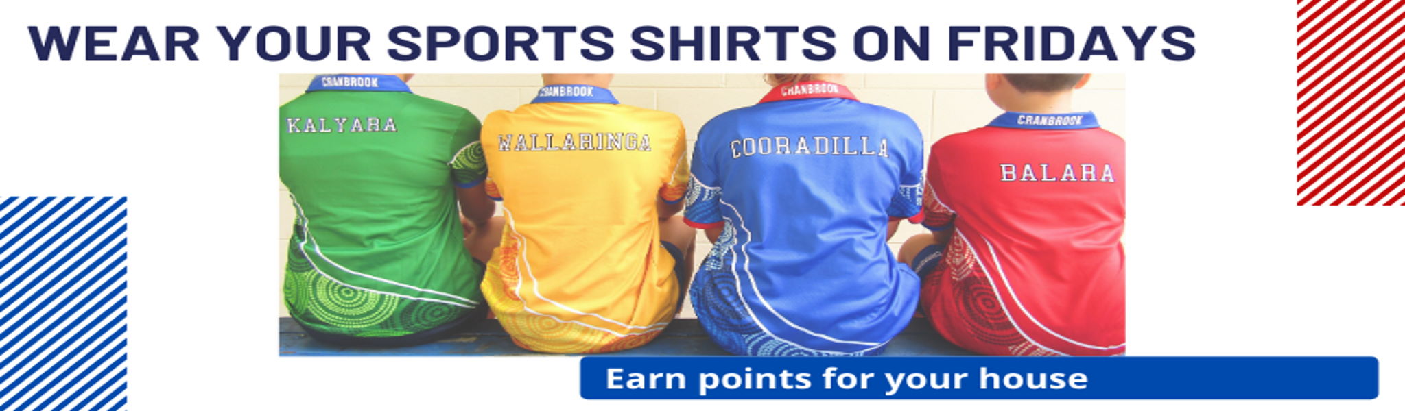 Cranbrook State School